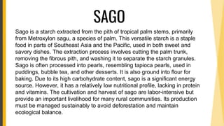 SAGO AS A STAPLE FOOD by SADYA KHAn.pptx
