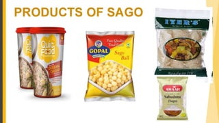 SAGO AS A STAPLE FOOD by SADYA KHAn.pptx