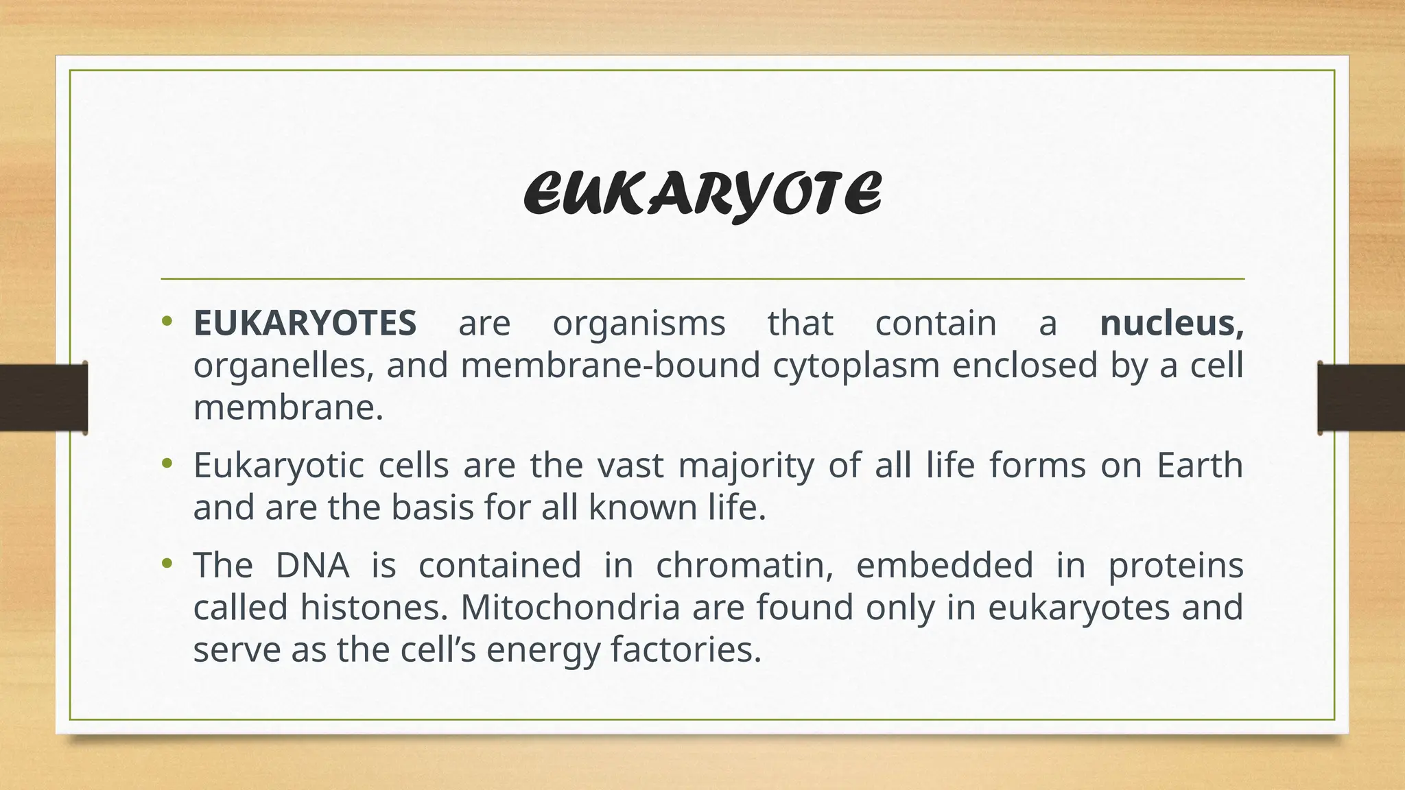 Eukaryotes_PowerPoint_Presentation Slide | PPTX