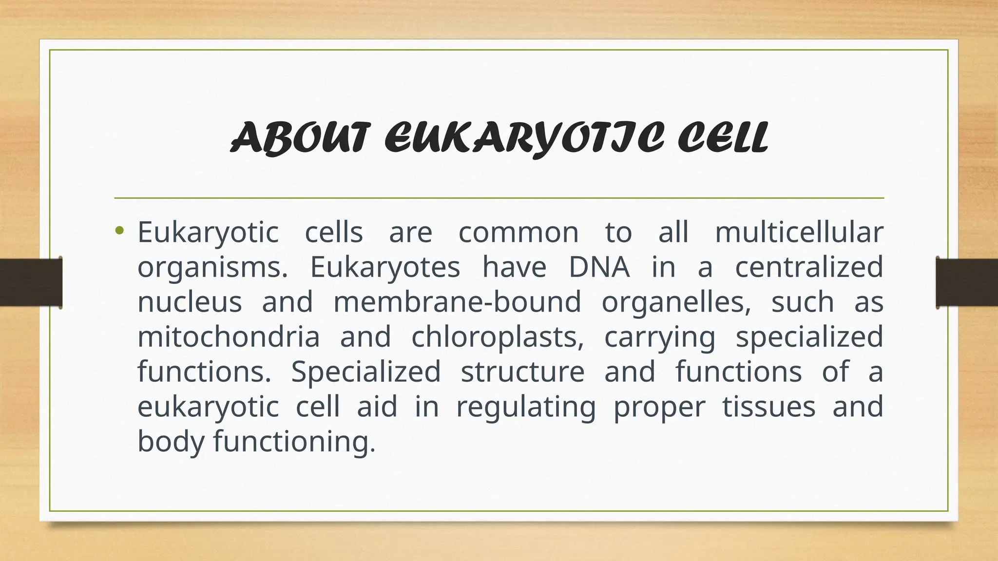 Eukaryotes_PowerPoint_Presentation Slide | PPTX