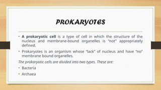 Eukaryotes_PowerPoint_Presentation Slide | PPT