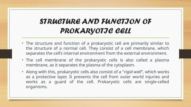Eukaryotes_PowerPoint_Presentation Slide | PPT