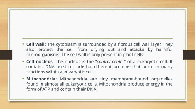 Eukaryotes_PowerPoint_Presentation Slide | PPT