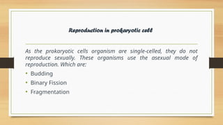 SAGONOY, MORPHO REPORT PowerPoint Slide | PPT