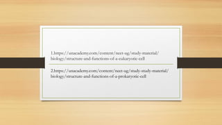 SAGONOY, MORPHO REPORT PowerPoint Slide | PPT