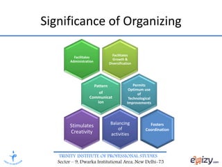 Organizing Authority & Responsibility- Principles of Management | PPTX