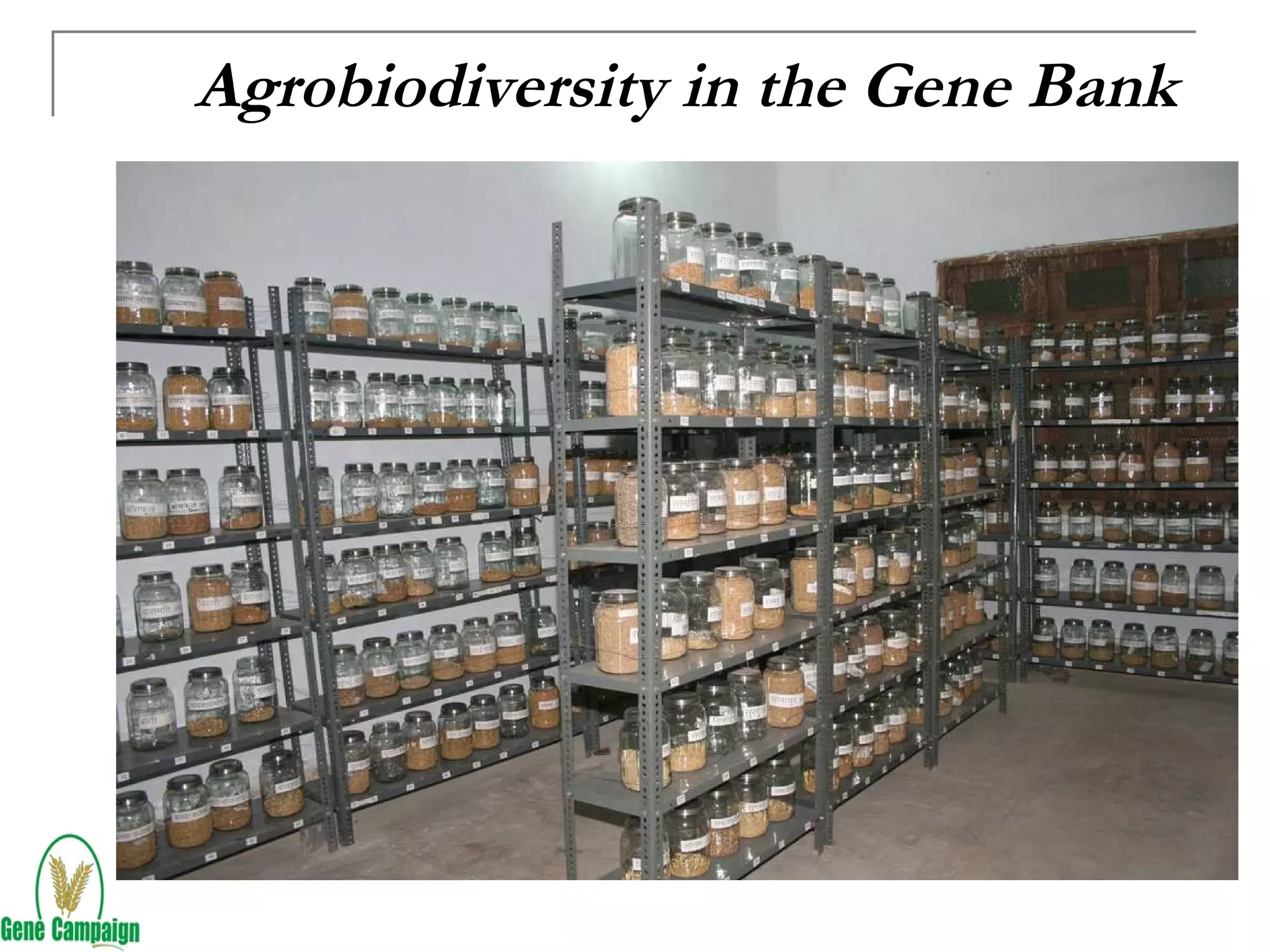 Manifesto: Suman Sahai - Grassroots Innovations in Agriculture | PPT