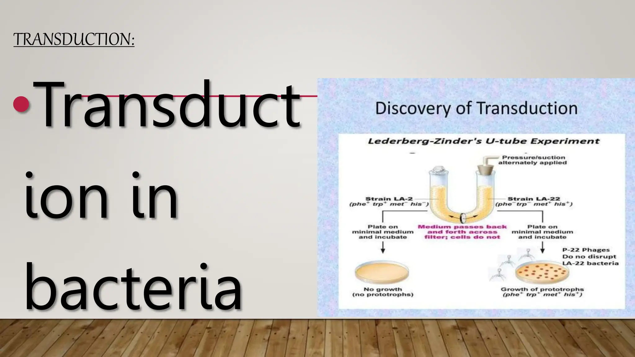 Recombination in Prokaryotes Transformation, conjugation, transduction ...