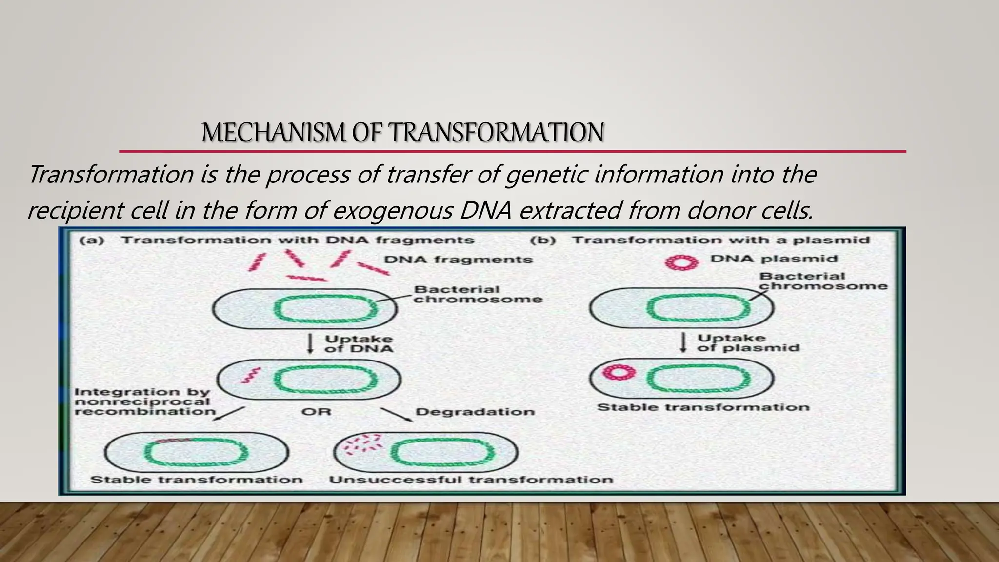 Recombination in prokaryotes, introduction, types | PPTX