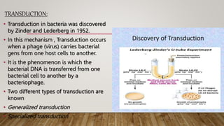 Recombination in prokaryotes, introduction, types | PPTX