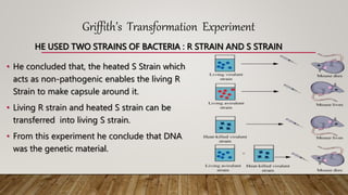 Recombination in prokaryotes, introduction, types | PPTX