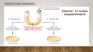 Recombination in prokaryotes, introduction, types | PPTX