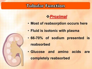 ARF- acute renal failure | PPTX