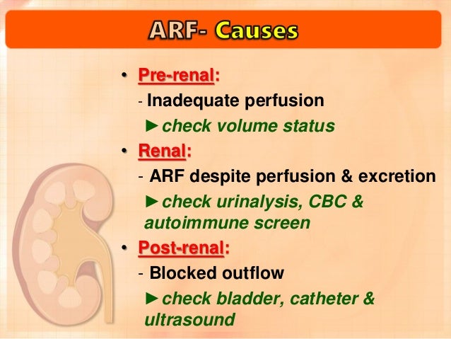Intrarenal Acute Kidney Failure