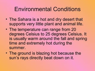 Sahara Desert | PPT