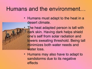 Sahara Desert | PPT