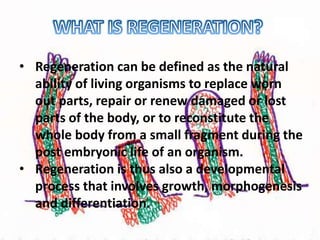 REGENERATION | PPTX