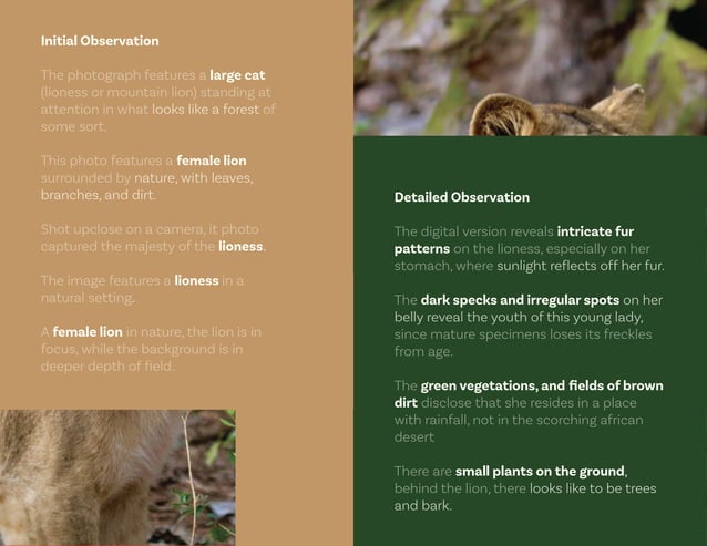 Initial Observation and Detailed Observation | PDF