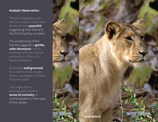 Initial Observation and Detailed Observation | PDF