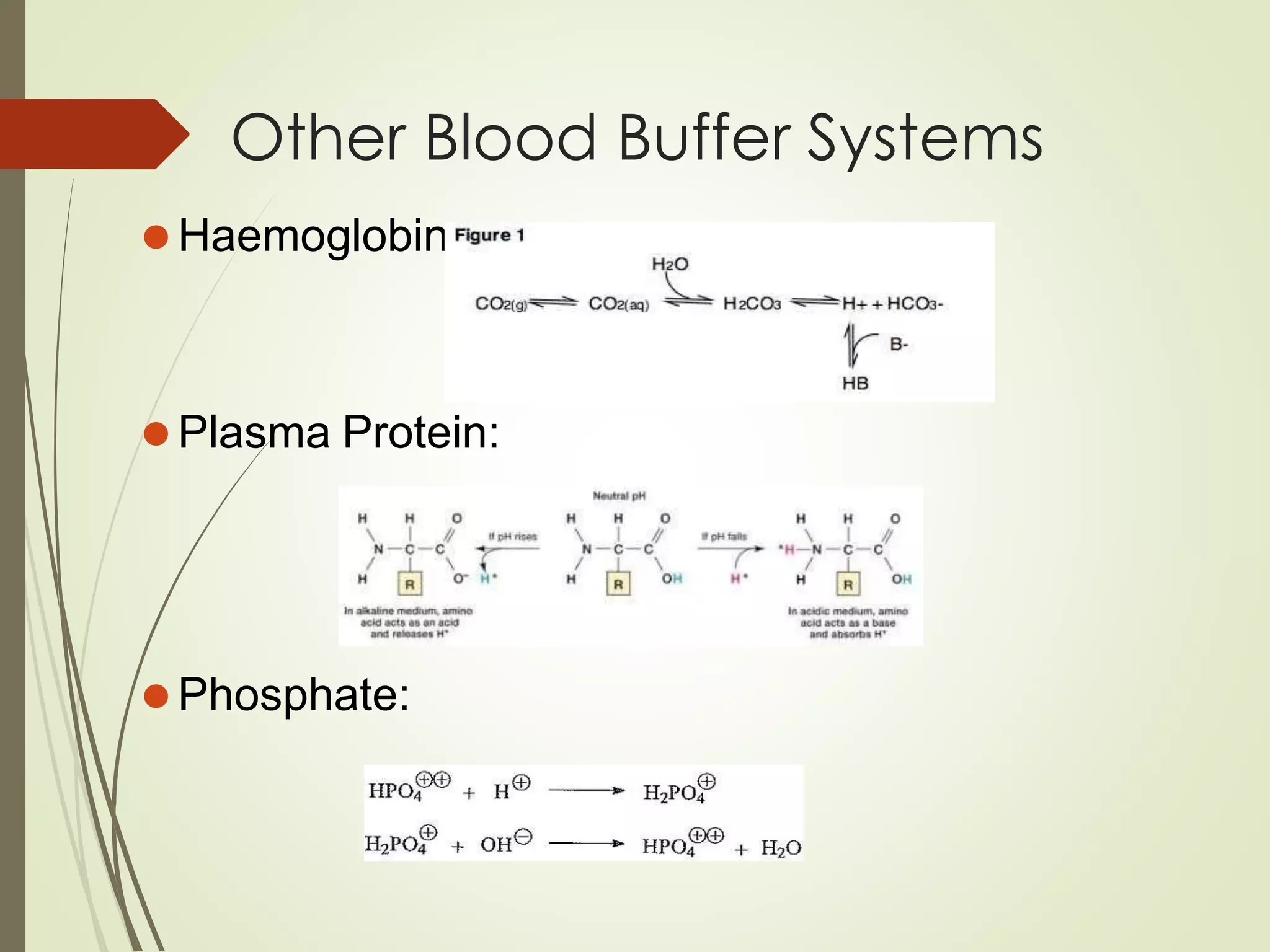 Buffer solutions. Blood buffer systems and their mechanisms of action. Sahil ppt | PDF