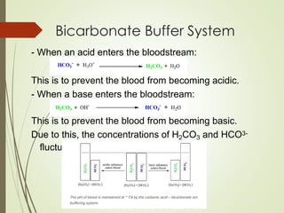Buffer solutions. Blood buffer systems and their mechanisms of action. Sahil ppt | PDF