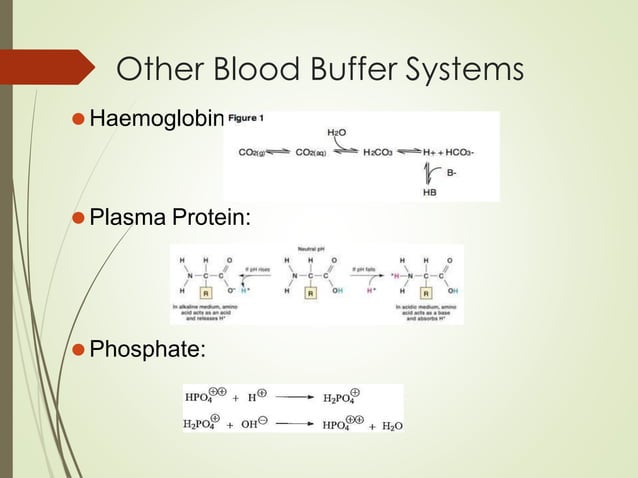 Buffer solutions. Blood buffer systems and their mechanisms of action. Sahil ppt | PDF