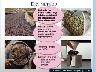 Quality and Processing of Plantation crops | PPTX