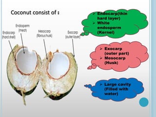 Quality and Processing of Plantation crops | PPTX