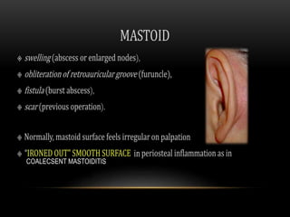 Mastoid Process Palpation