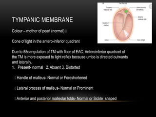 Tympanic Membrane Exam Slidesho