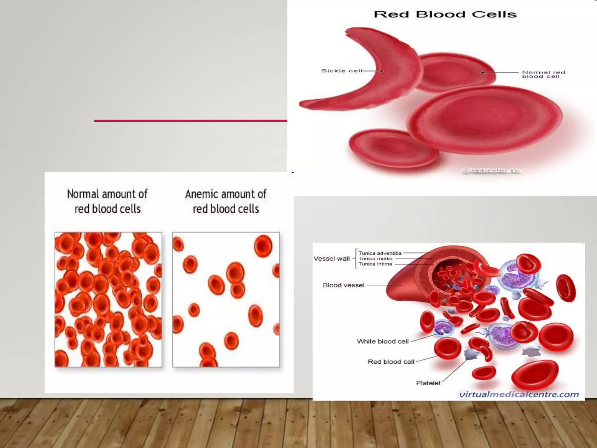 Sahli+pcv practical hemoglobinometer and hematocrite | PPTX