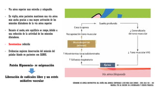 Síndrome de Apnea Hipopnea obstructiva del Sueño Dr. Barramuño | PDF