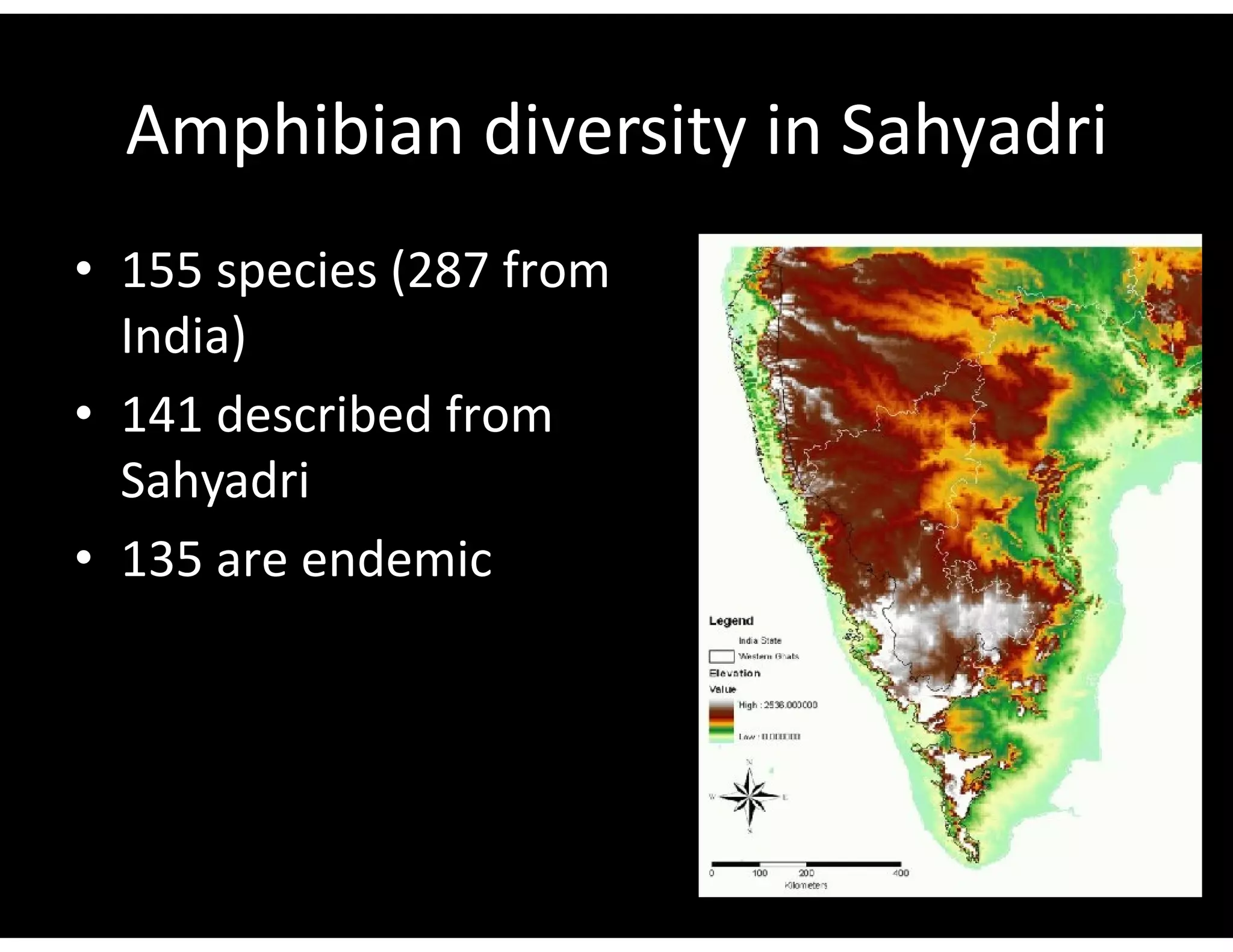 Sahyadri Amphibians Ku 8sep09(1) | PDF