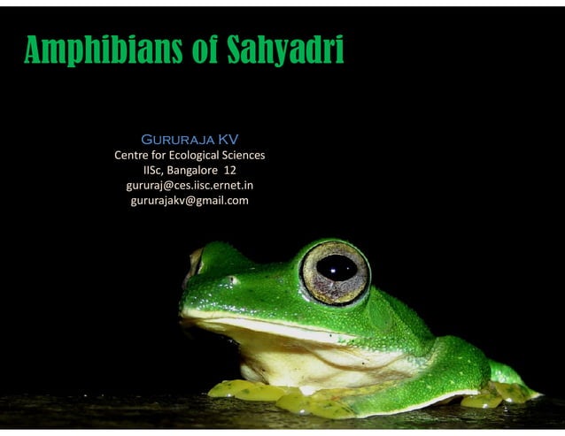 Sahyadri Amphibians Ku 8sep09(1) | PDF