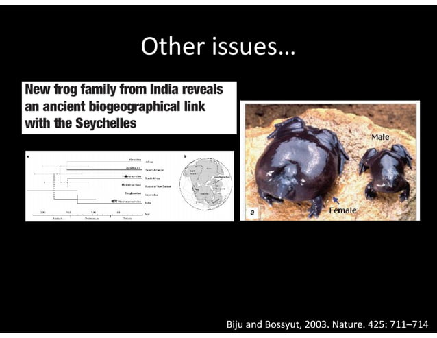Sahyadri Amphibians Ku 8sep09(1) | PDF