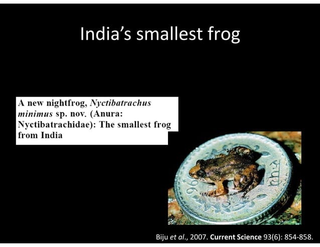 Sahyadri Amphibians Ku 8sep09(1) | PDF