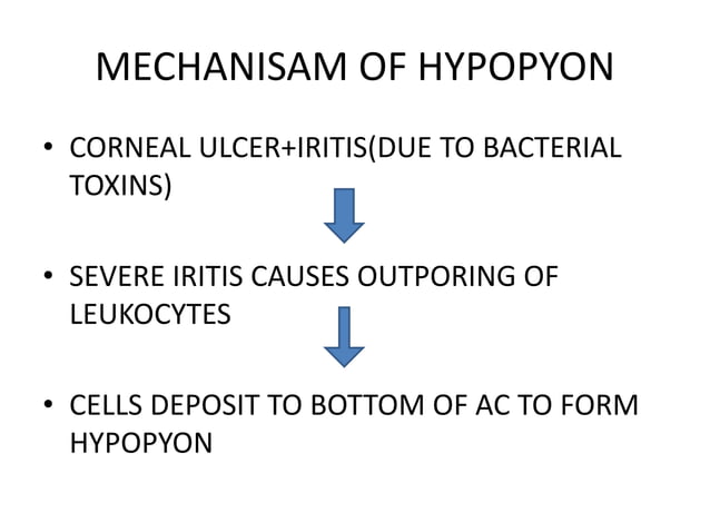 HYPOPYON CORNEAL ULCER | PPTX | Eye and Vision Conditions | Diseases ...