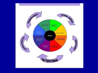 SAI_ACE_Overview | PPT