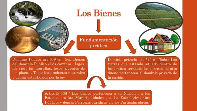 mapa conceptual de los Bienes del dominio publico y Bienes del domini…