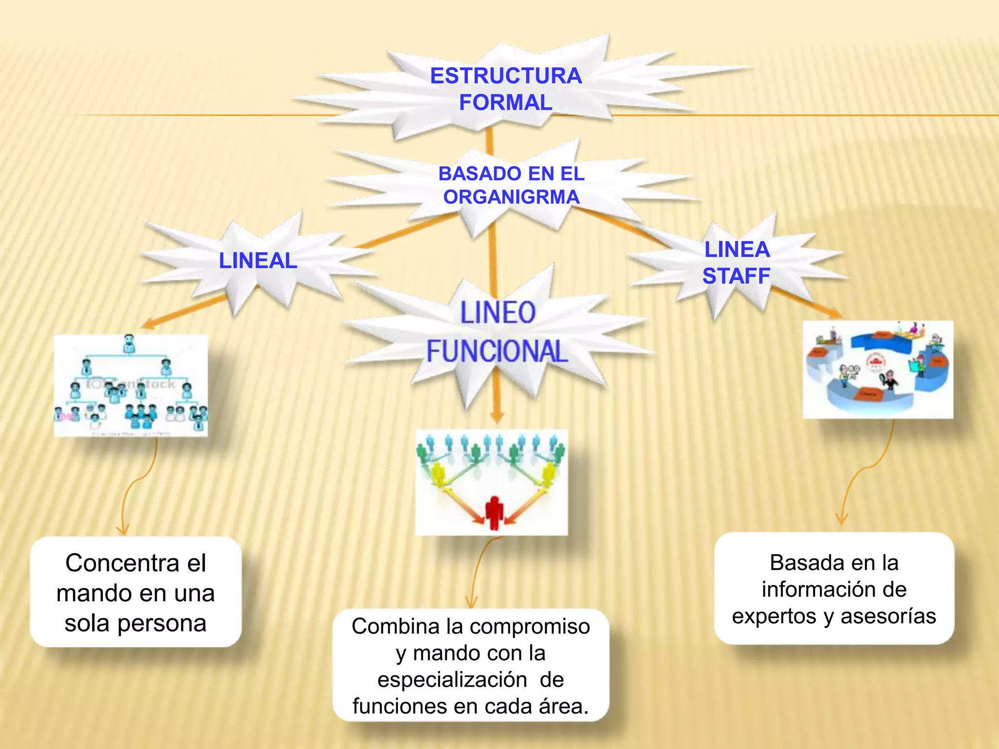 Saia estructura organizacional mapa conceptual | PPTX