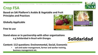 Sai and fsa_introduction_webinar_28_sept_2015 | PPT
