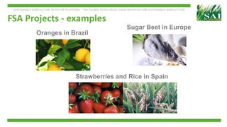 Sai and fsa_introduction_webinar_28_sept_2015 | PPT