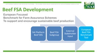 Sai and fsa_introduction_webinar_28_sept_2015 | PPT