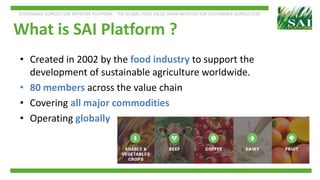 Sai and fsa_introduction_webinar_28_sept_2015 | PPT