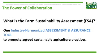 Sai and fsa_introduction_webinar_28_sept_2015 | PPT