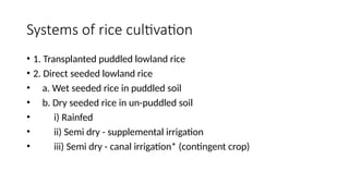 Different systems of rice cultivation in india | PPTX