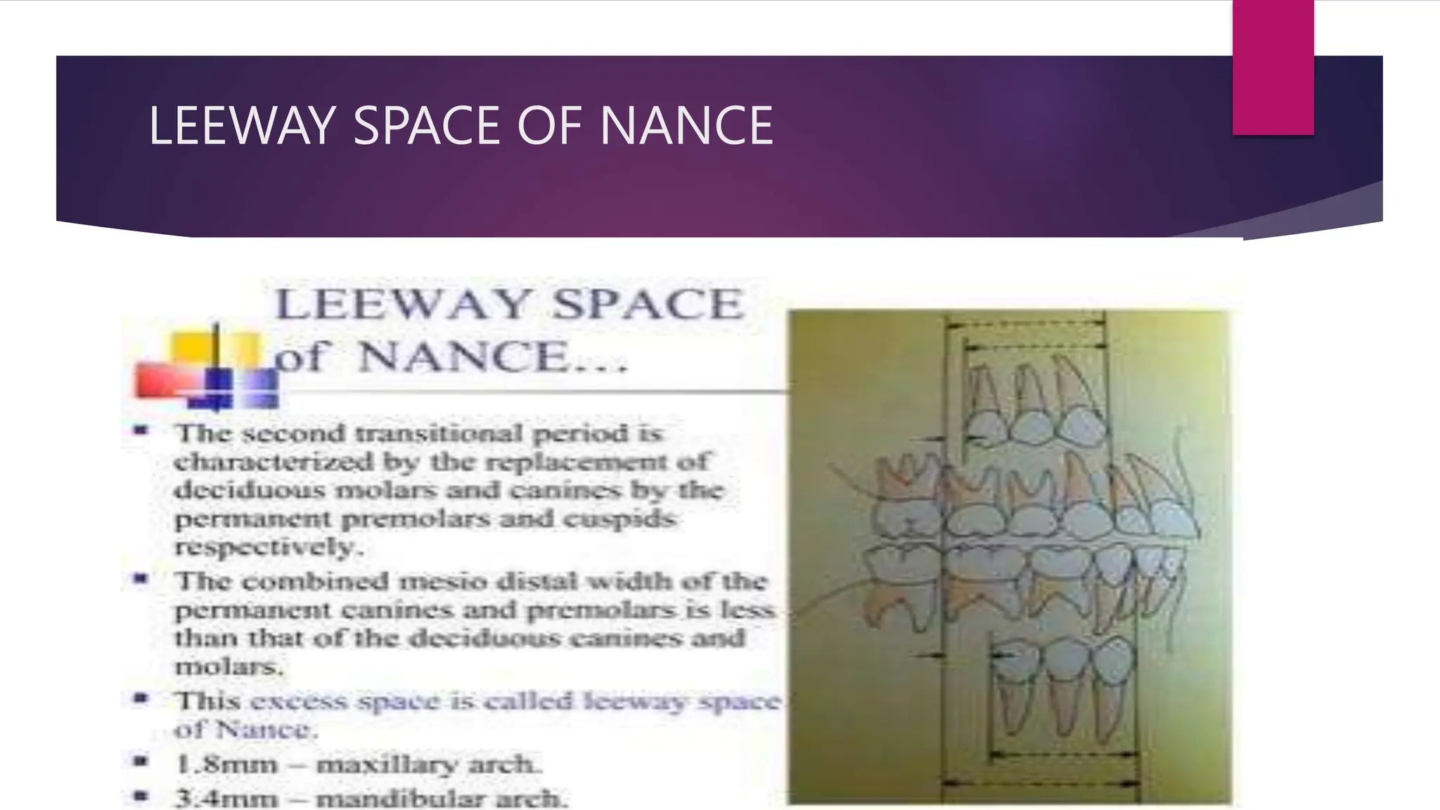 DEVELOPMENT OF OCCLUSION IN PEDIATRIC DENTISTRY | PPTX