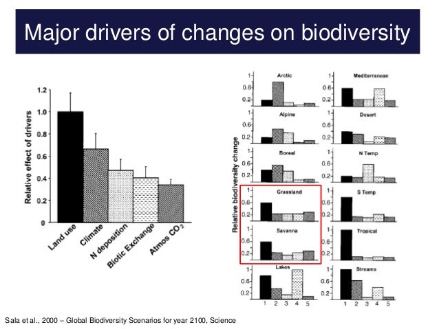 Drivers Of Land Use Change On Biodiversity - rangsea