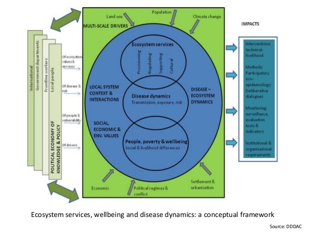 Mapping ecosystem services and trade-offs