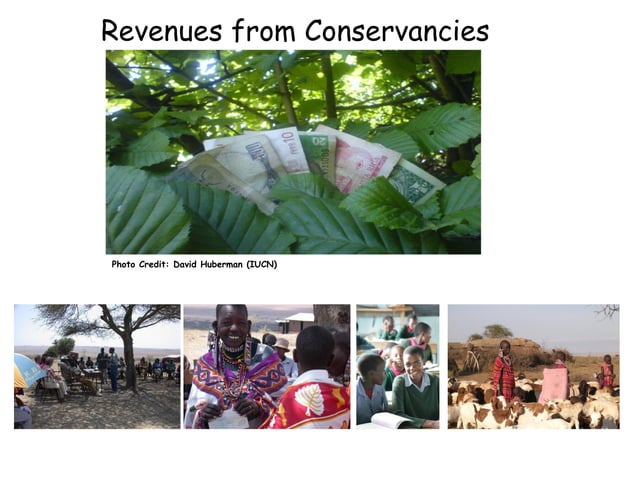 Biodiversity, Ecosystem services, Social sustainability and Tipping ...
